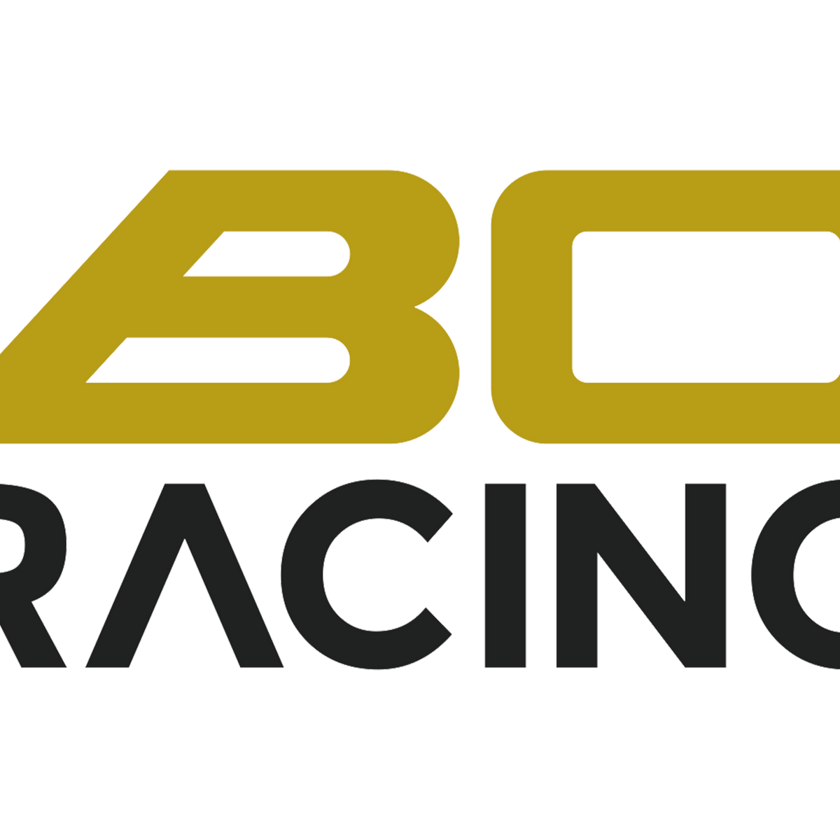 BC Racing – Lowered Status UK