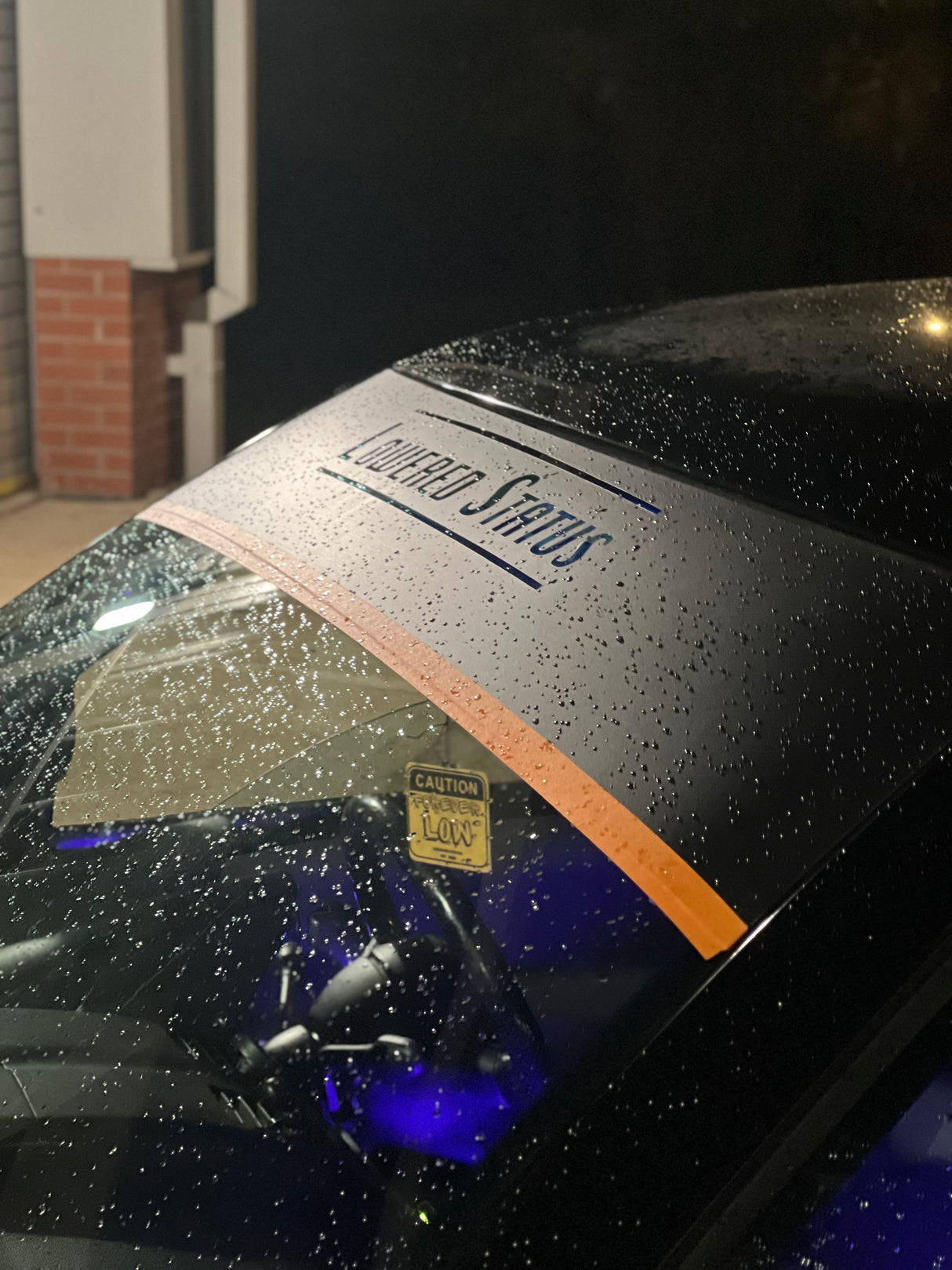 Lowered Status - Sunstrip (Cut-Out) – Lowered Status UK