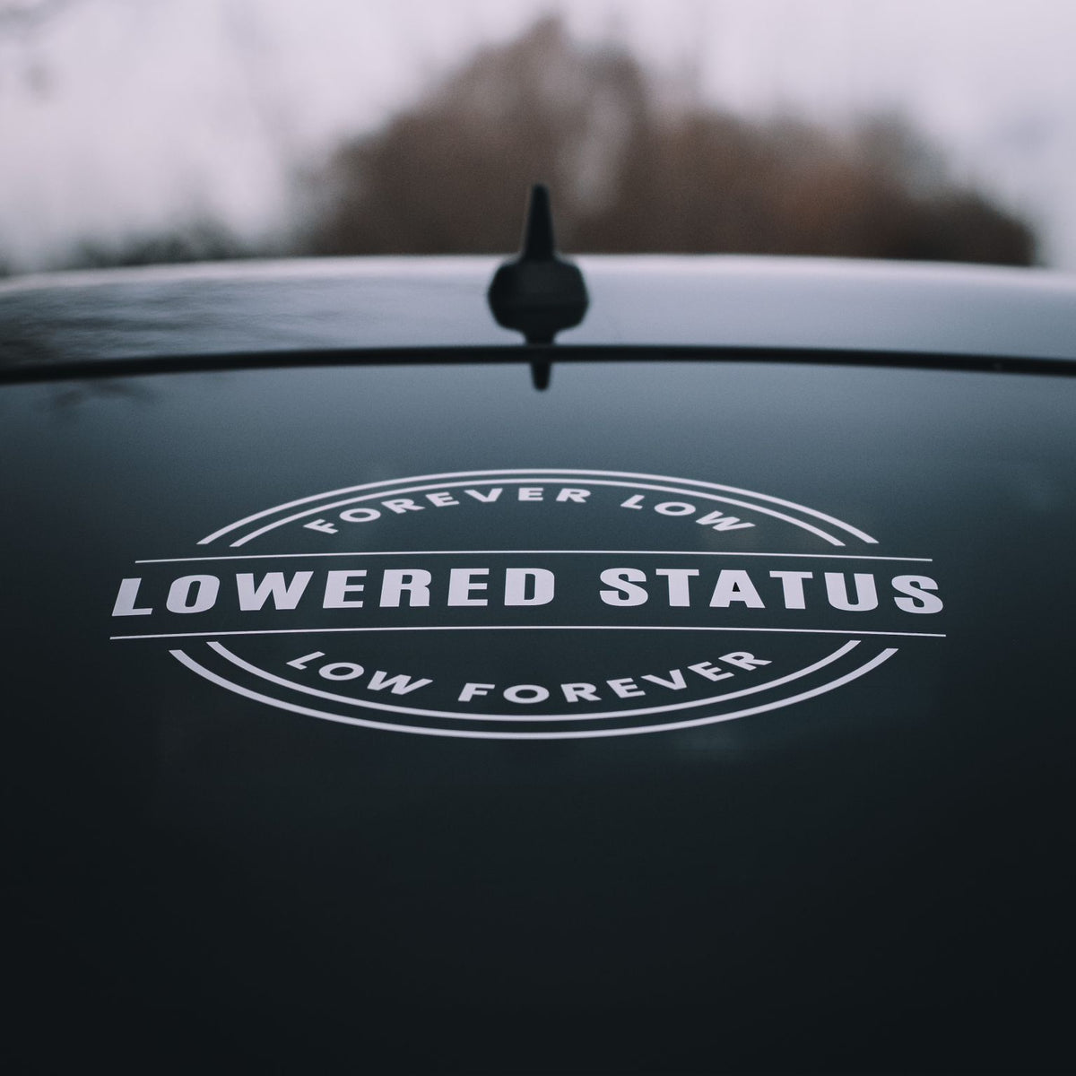 Lowered Status - Low Forever Vinyl Sticker – Lowered Status UK